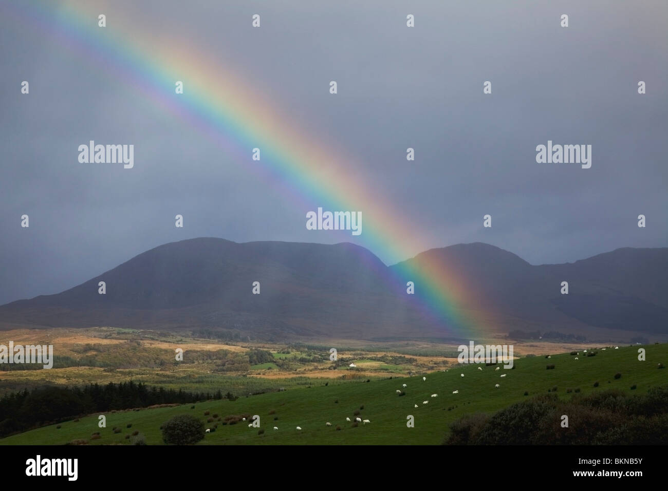 Fields ireland rainbow hi-res stock photography and images - Alamy