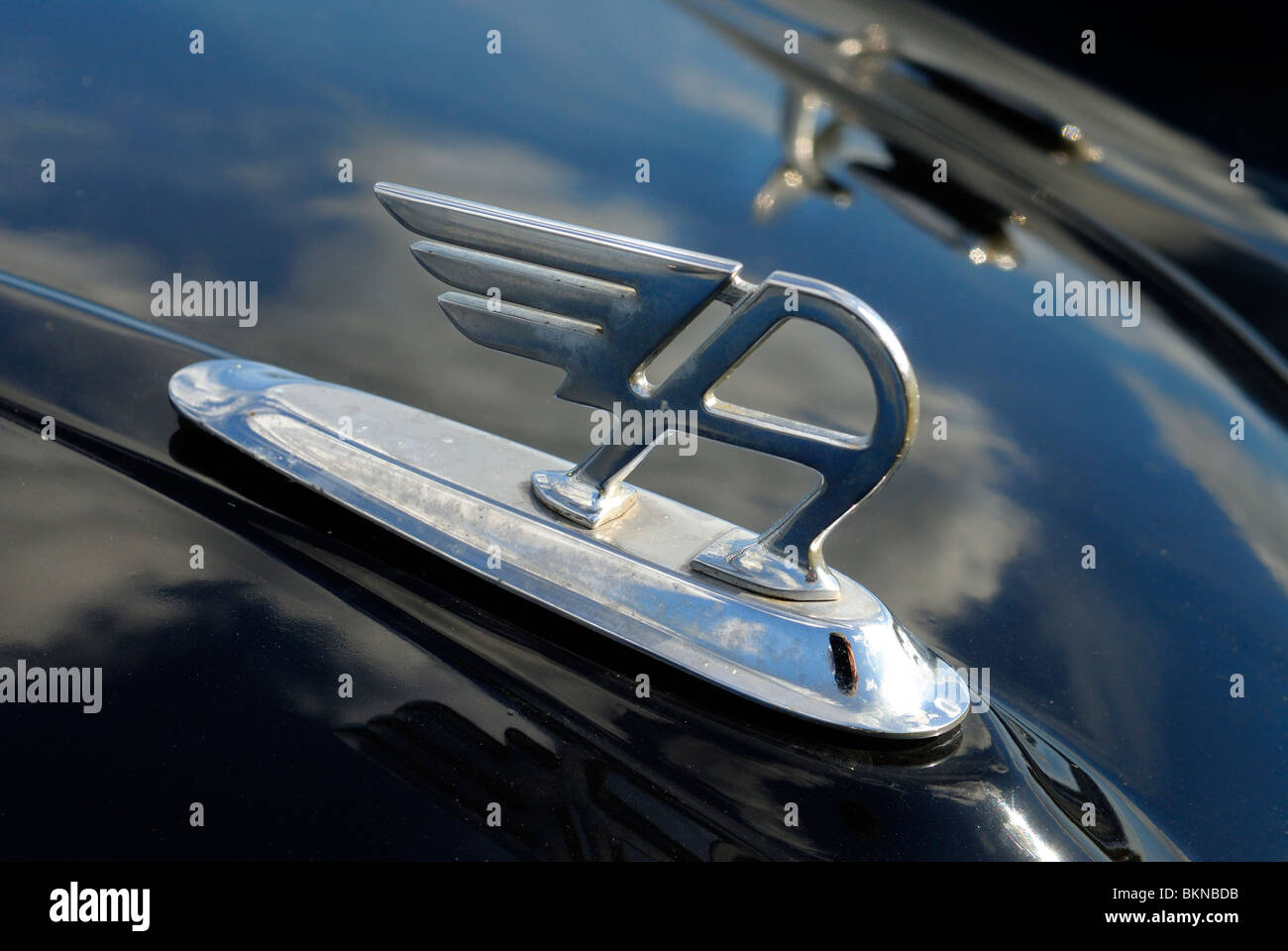 Austin classic car badge hi-res stock photography and images - Alamy