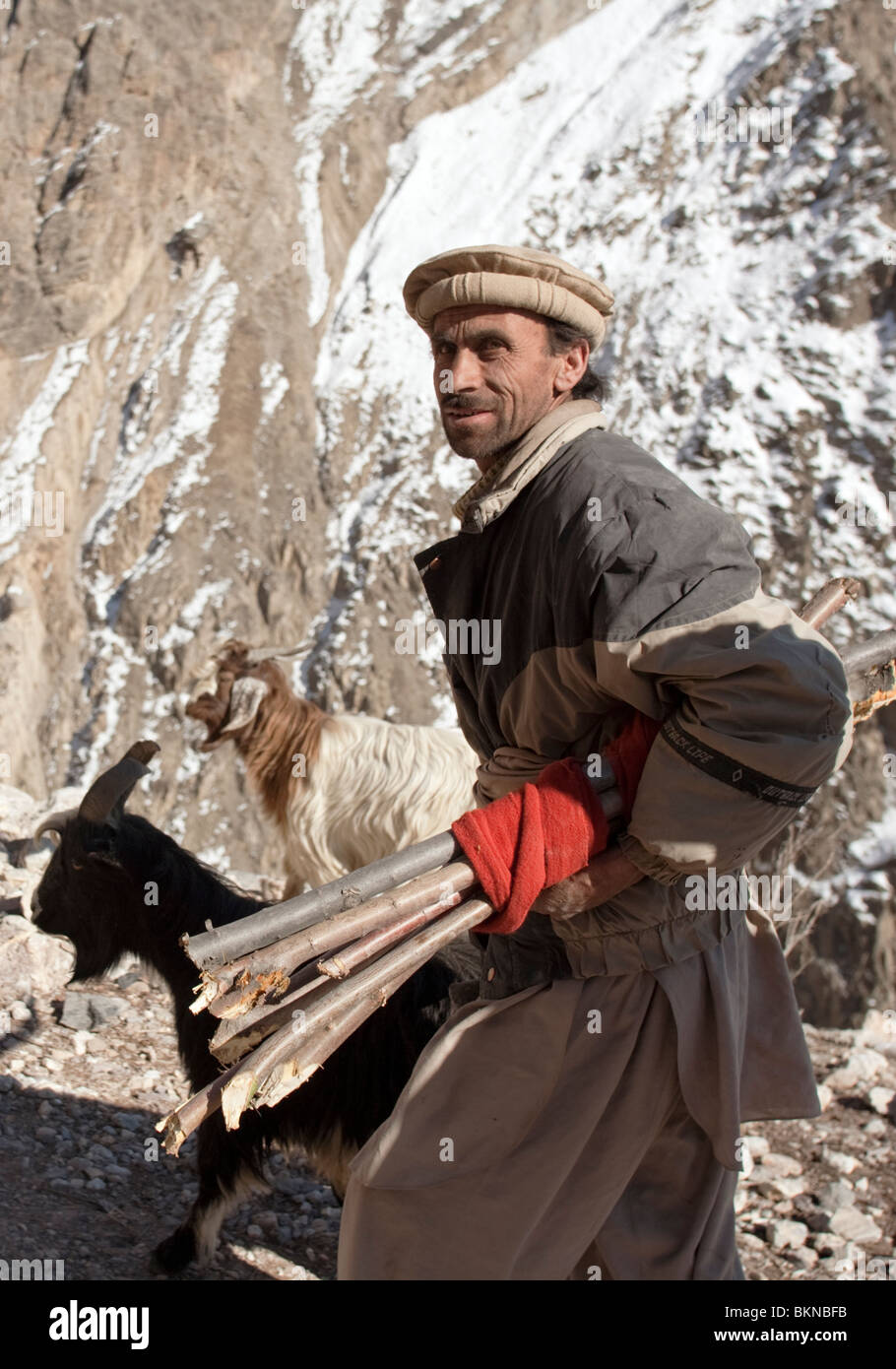 Goatherd with his livestock in Chitral, Northern Pakistan Stock Photo ...