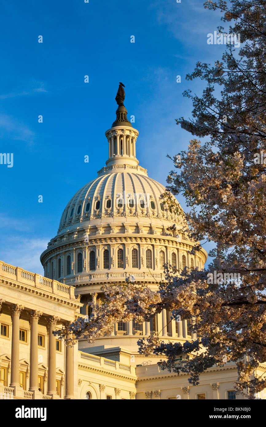Washington dc capitol building spring hi-res stock photography and ...