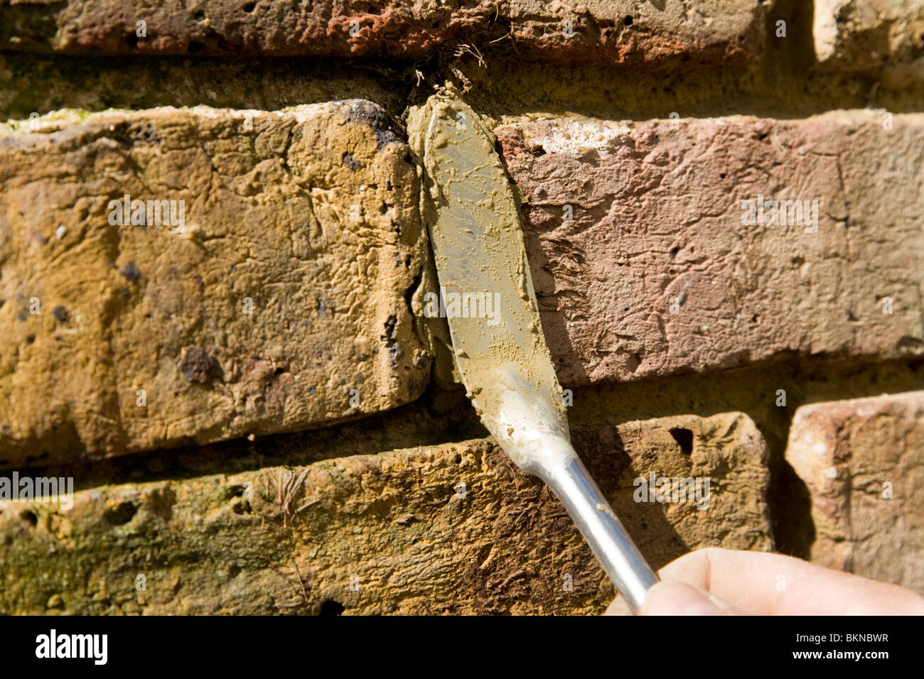 Repointing builder hi-res stock photography and images - Alamy