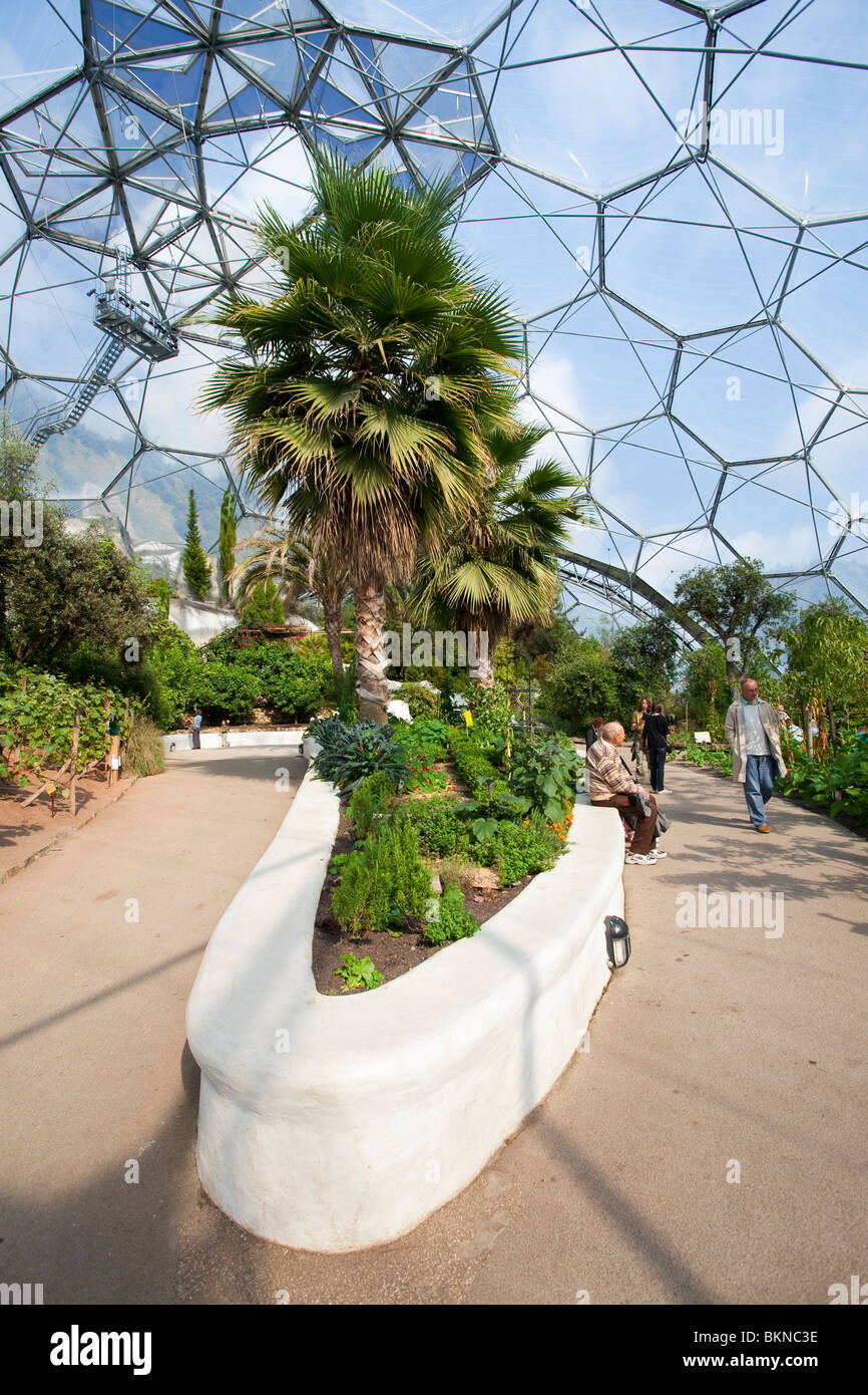 Eden project cornwall interior hi-res stock photography and images - Alamy