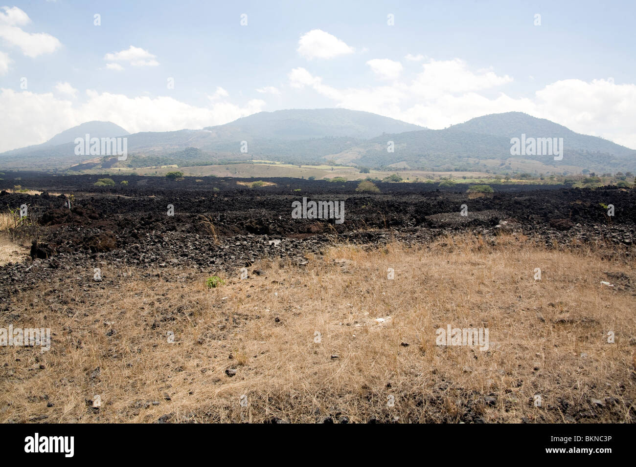 The lava field from the last eruption of Ilopango Volcano, El Salvador ...