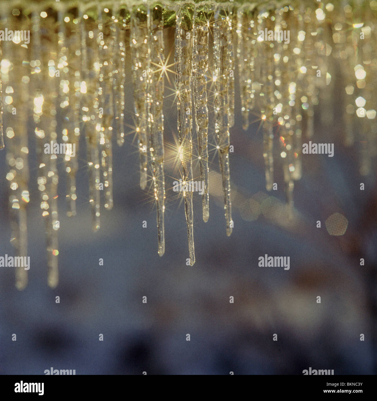 Winter icicles frozen spikes hi-res stock photography and images - Alamy