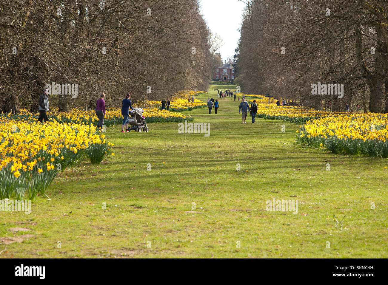 people and families walking in Nowton Park, UK Stock Photo - Alamy