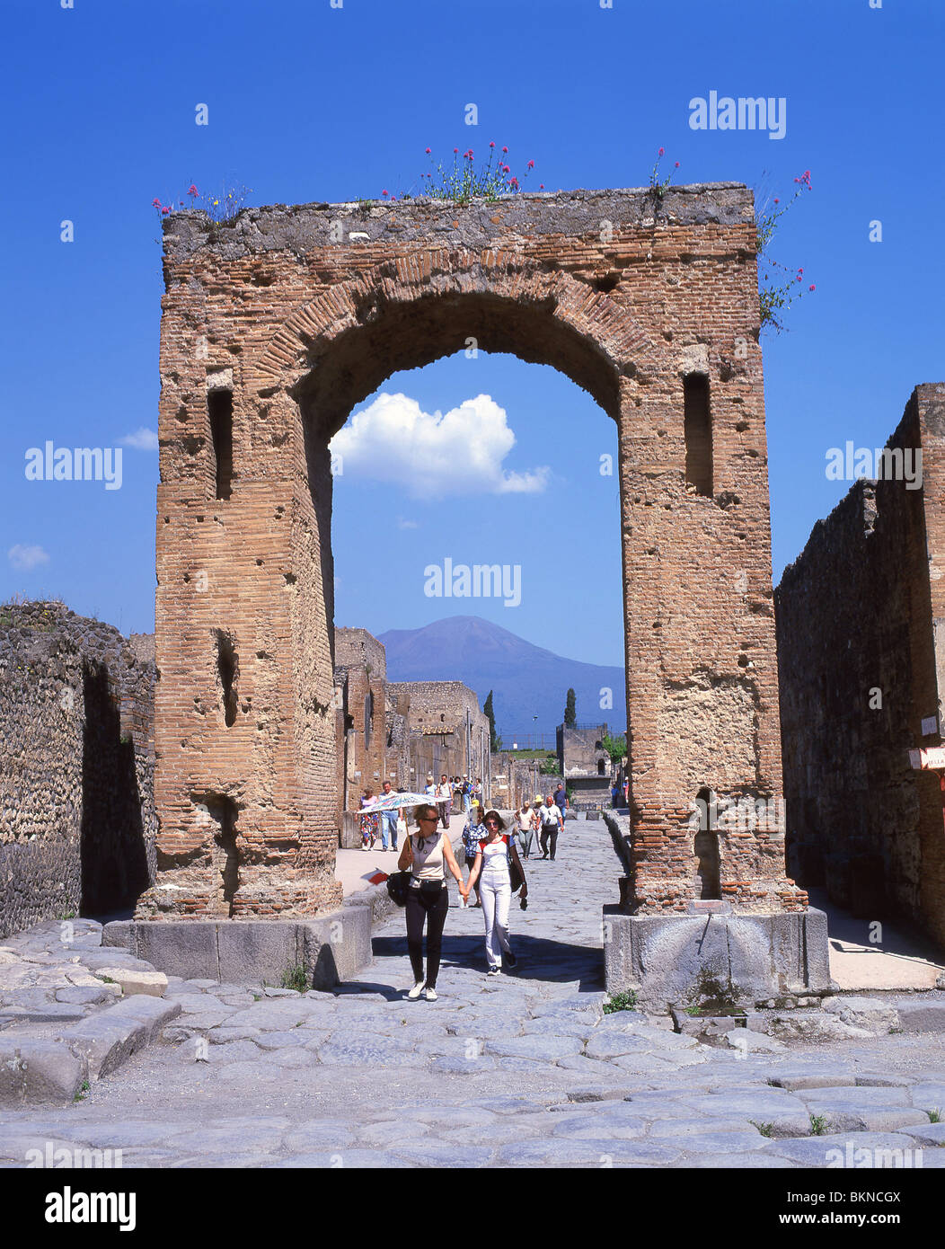 Celebratory Arch showing Mount Vesuvius, Ancient City of Pompeii ...