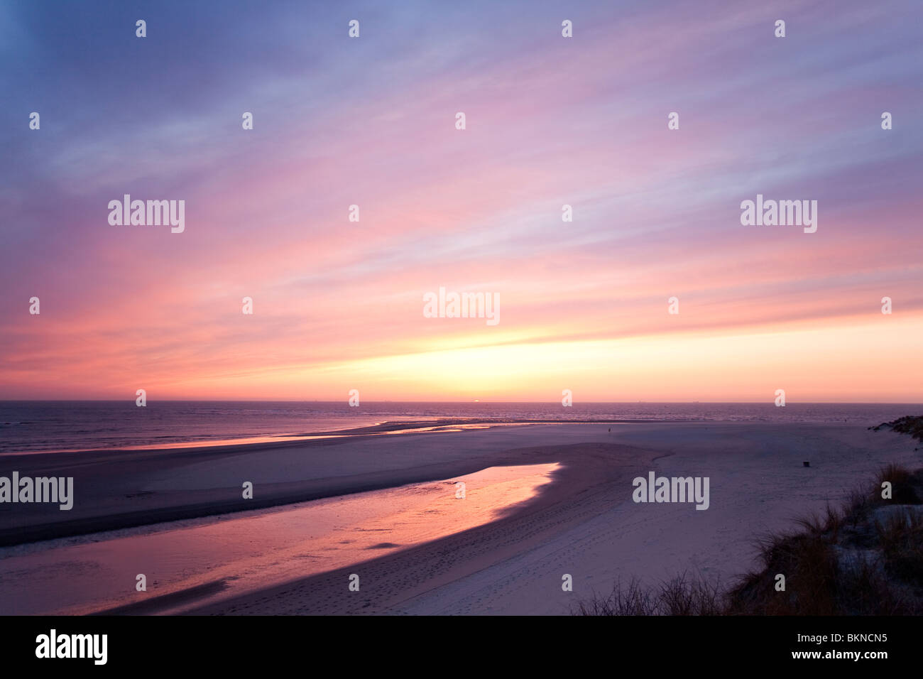Colorful pink sunset due to Icelandic volcanic ash at Dutch beach ...