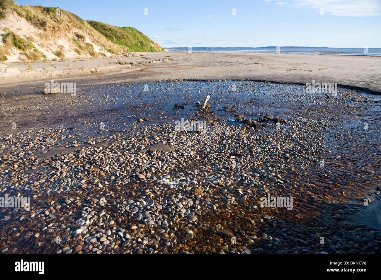 A stream empties out onto Ocean Beach, Tasmania's longest beach Stock ...