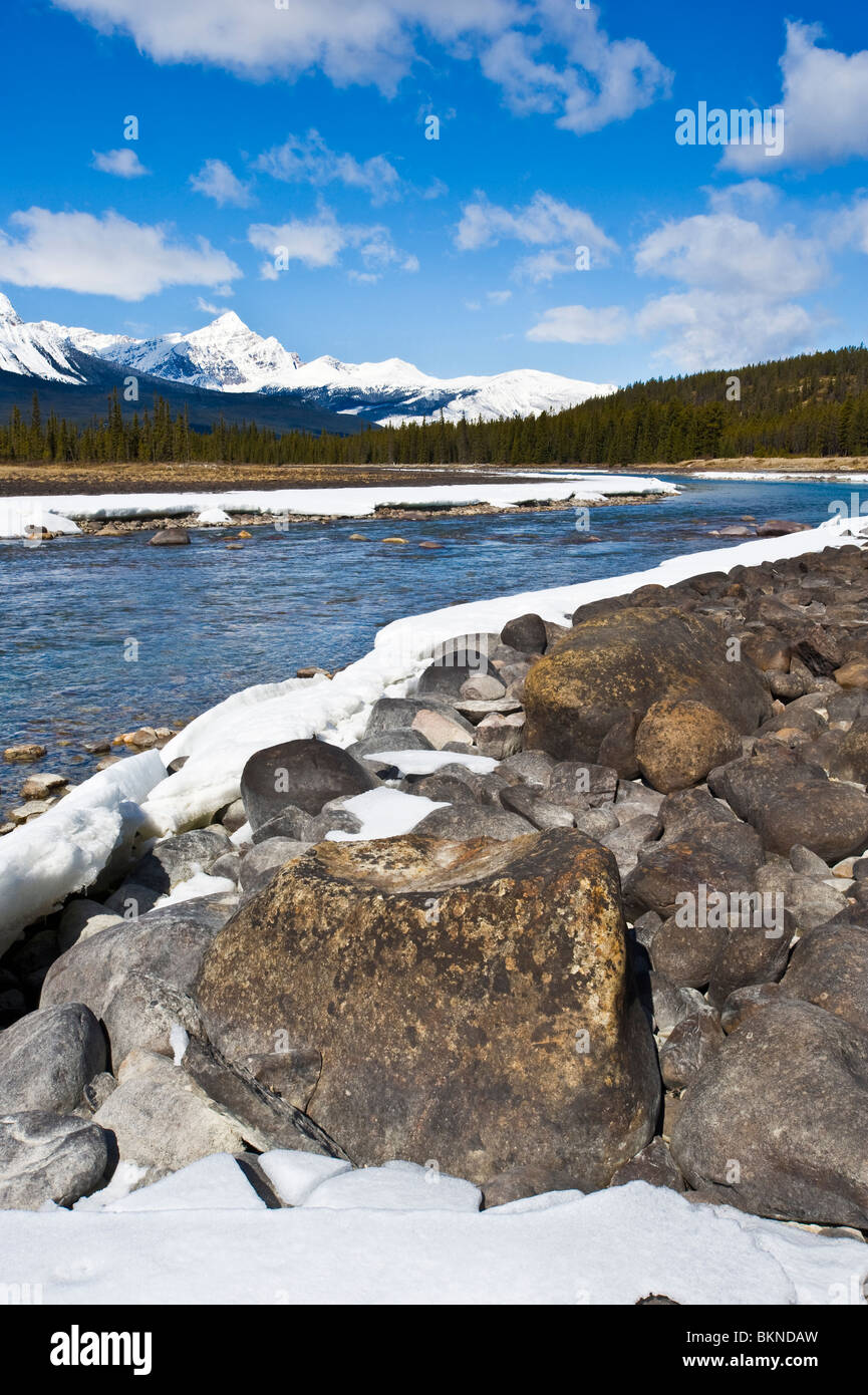 The Athabasca river Stock Photo - Alamy