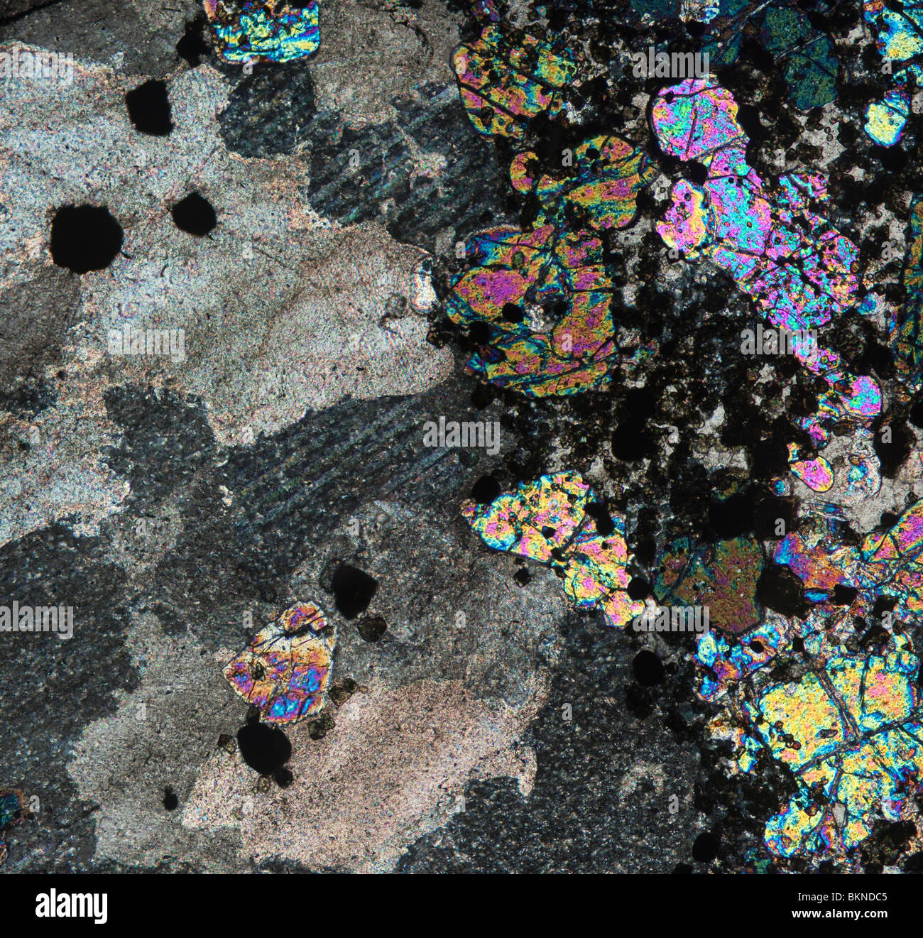 Metasomatic Marble rock sample photographed 10x to show mineral colours ...