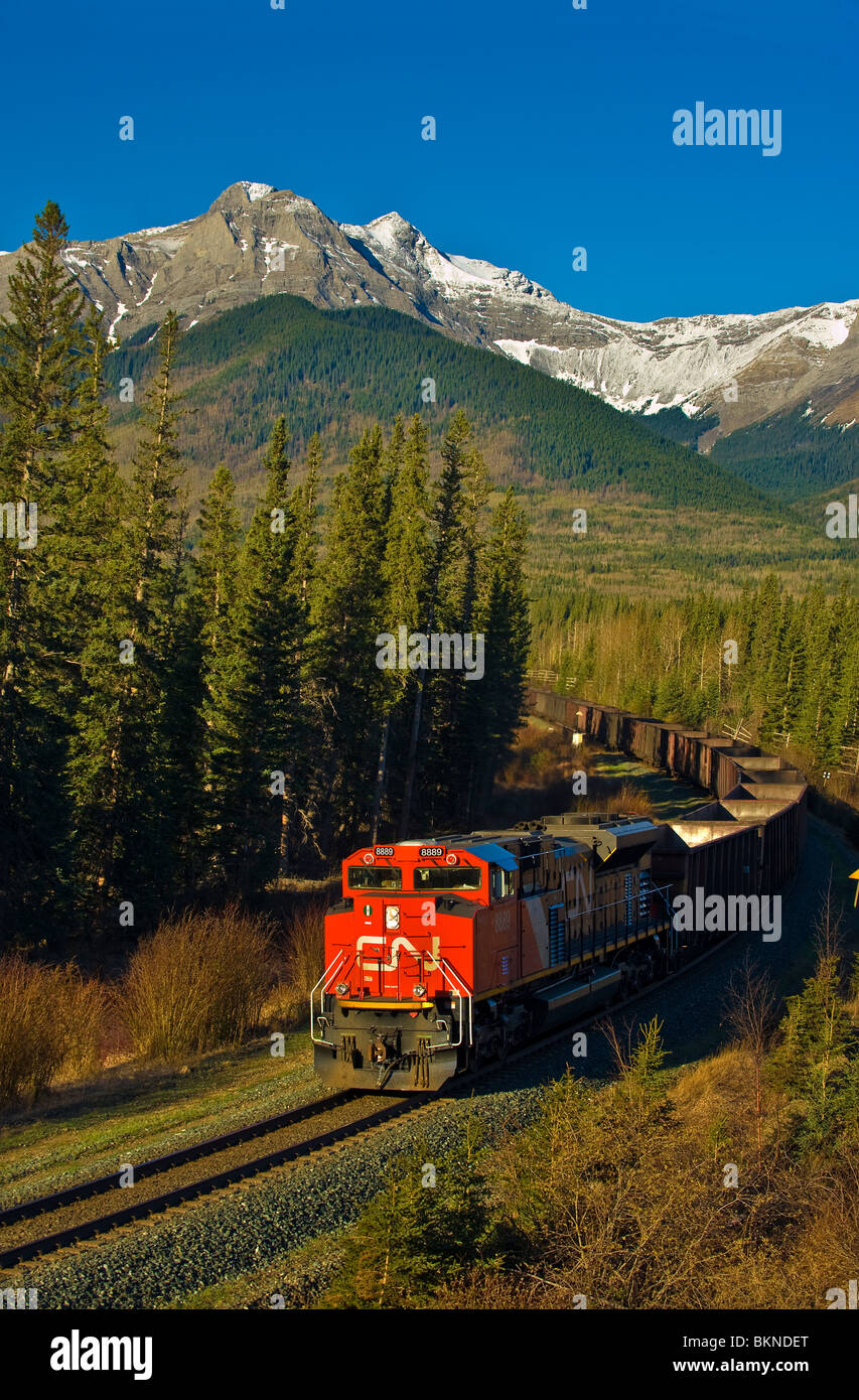 A Canadian National freight train Stock Photo - Alamy