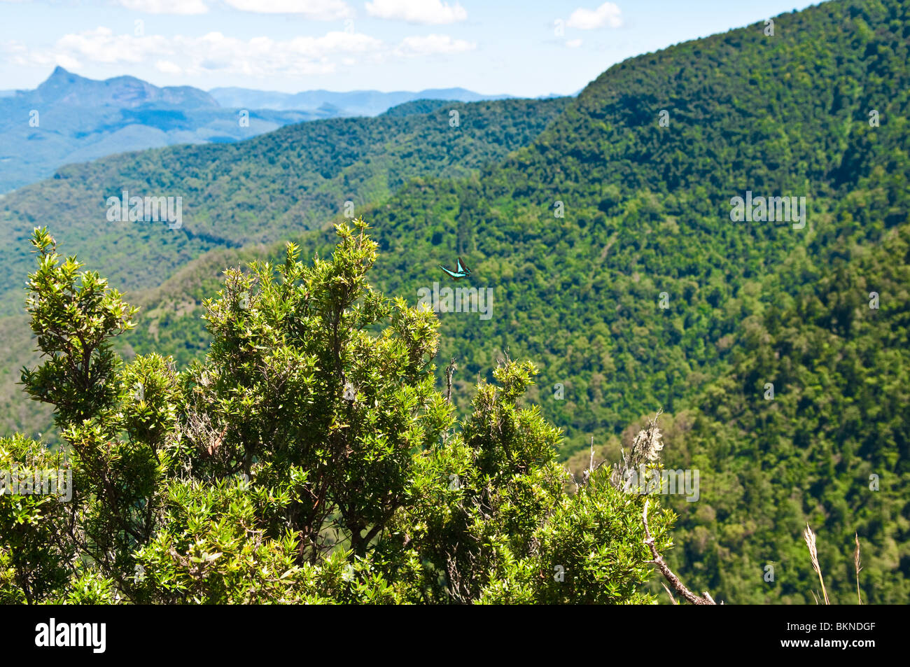 Albert river circuit hi-res stock photography and images - Alamy