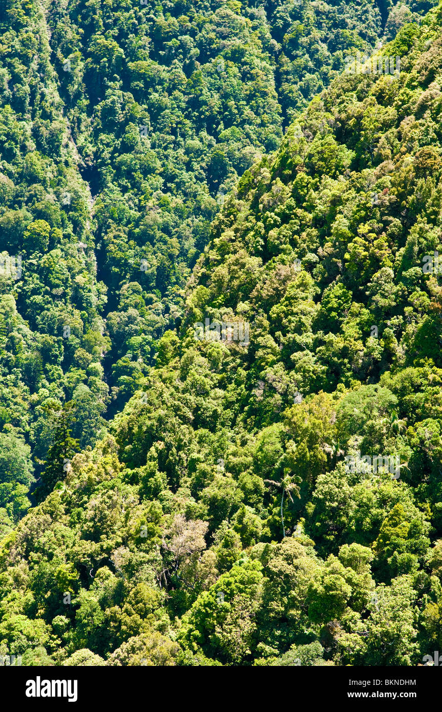 Albert River Circuit High Resolution Stock Photography and Images - Alamy