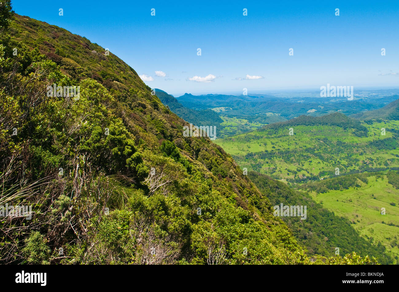 View from Echo Point Lookout, Albert River Circuit, Lamington National ...