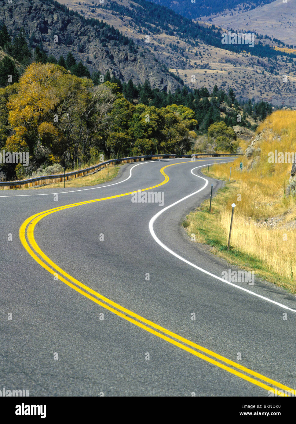 Continuous curve hi-res stock photography and images - Alamy