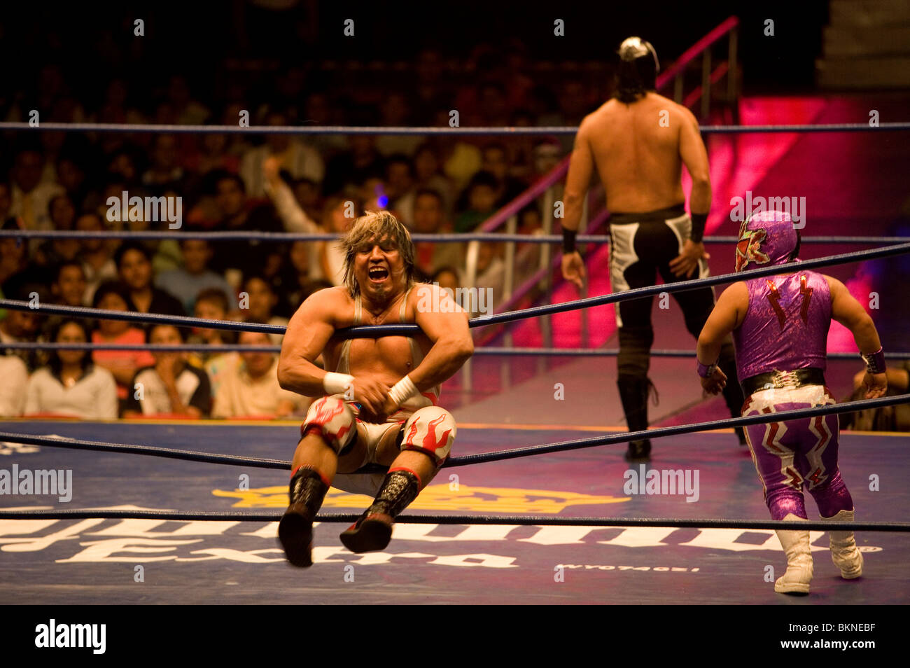 Lucha Libre wrestlers perform in Arena Mexico, Mexico City Stock Photo ...