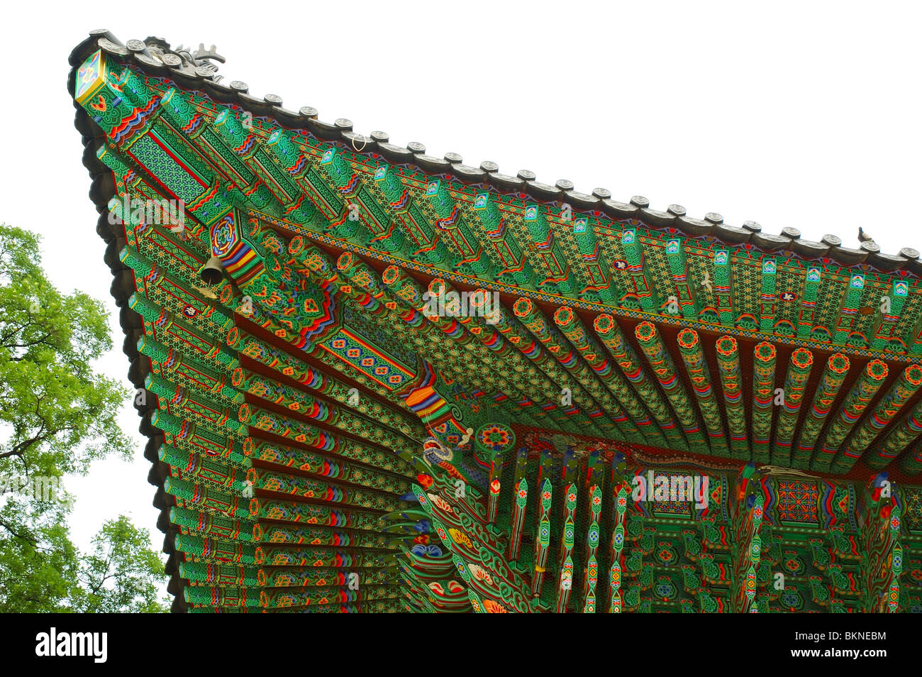 Gyeonji dong hi-res stock photography and images - Alamy