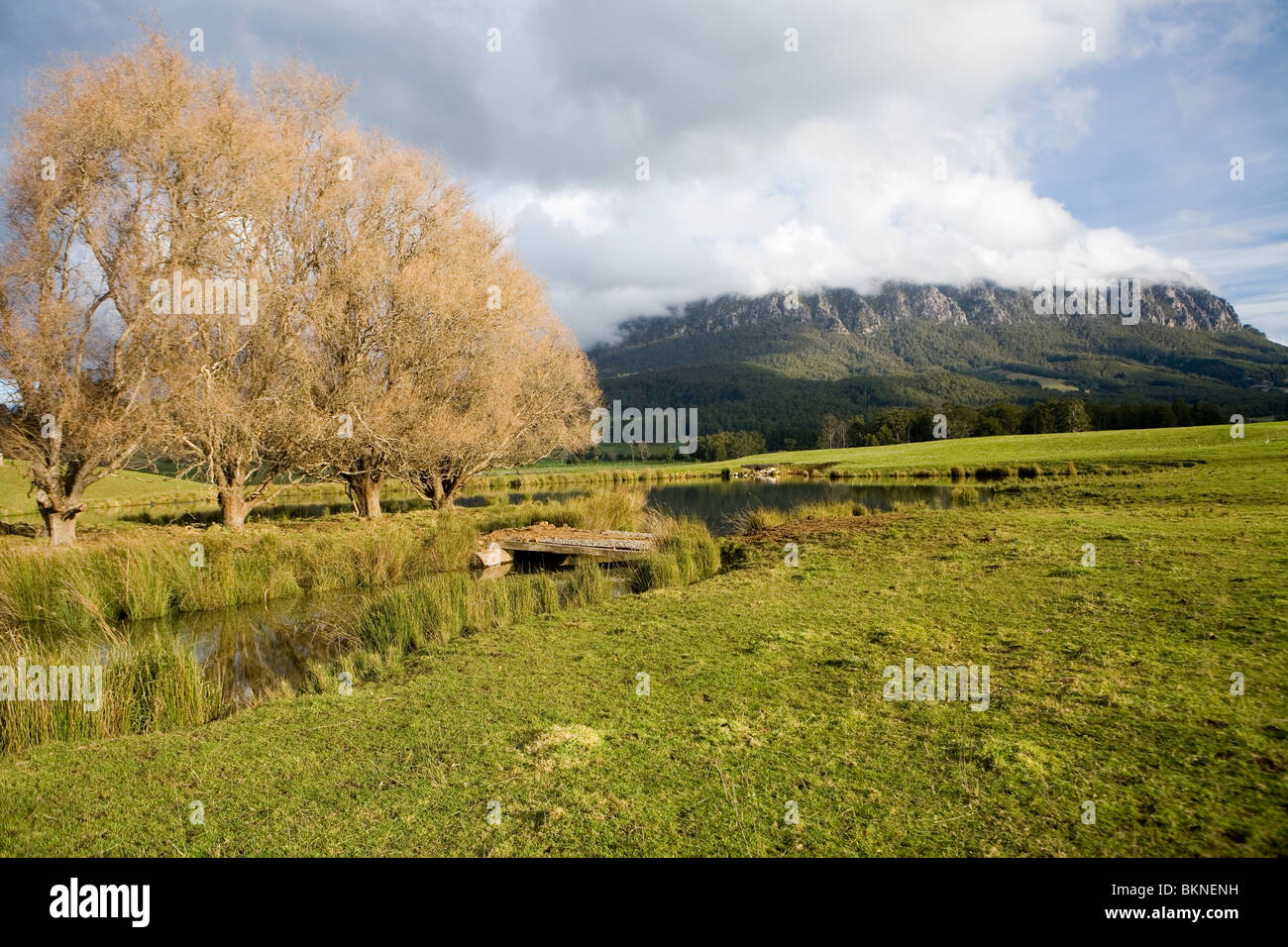 Rocky paddock hi-res stock photography and images - Alamy