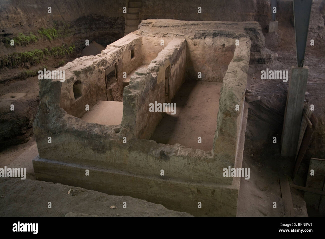 The ruins of a pre-Columbian Maya farming village, preserved under ...