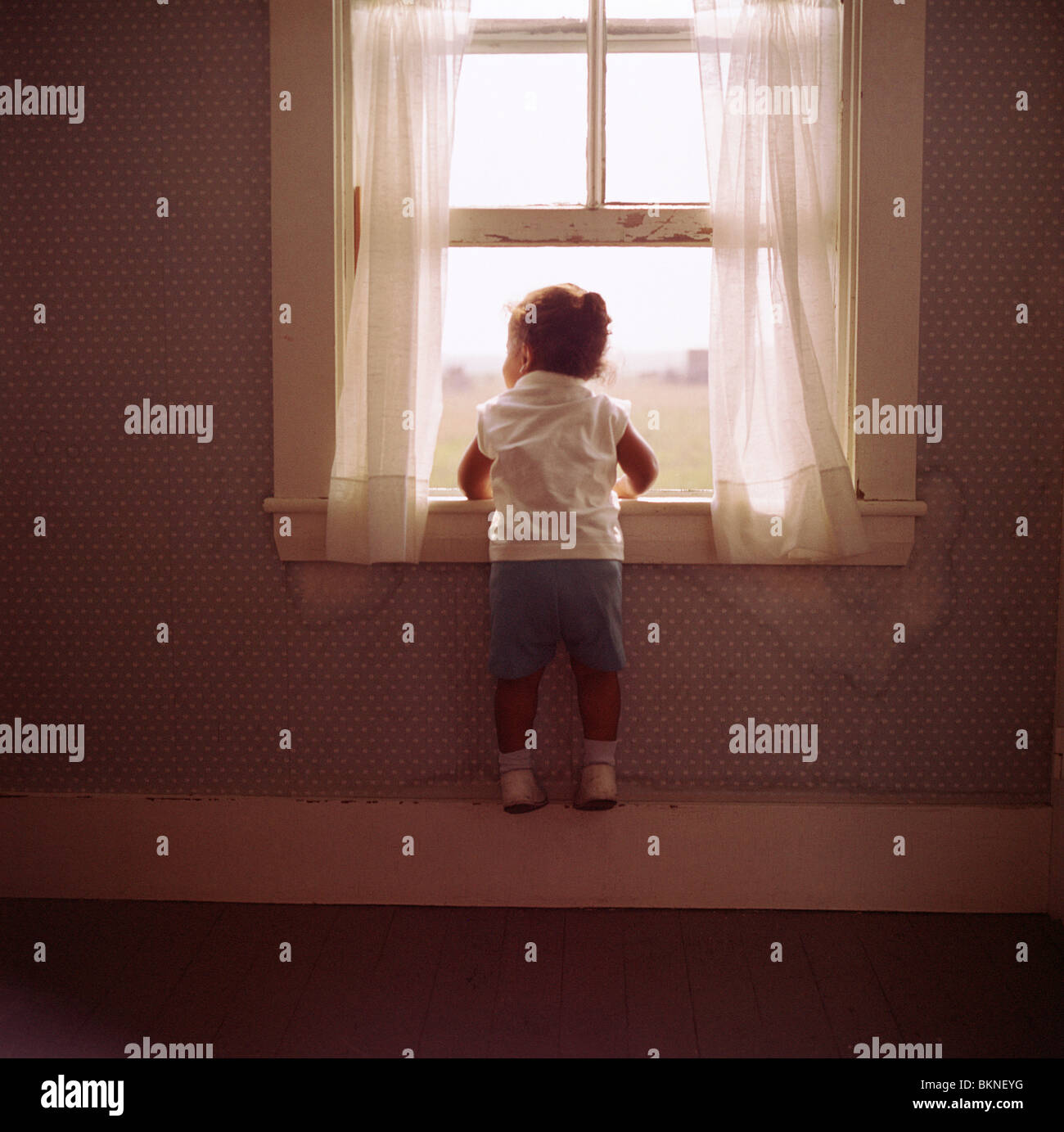 Little girl looking out the window hanging from the window ledge inside ...