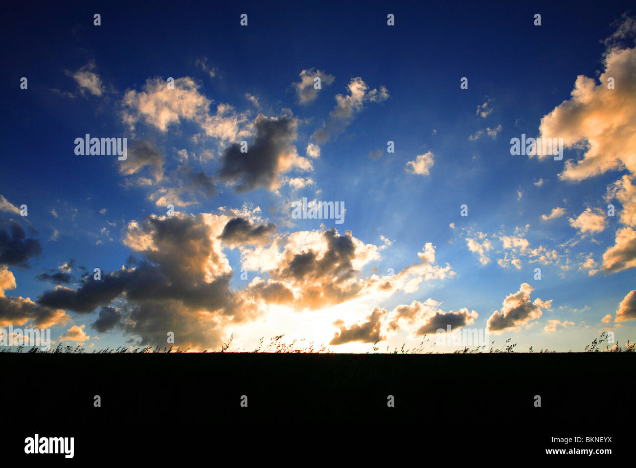 PRAIRIE SKY, SOUTHERN WISCONSIN Stock Photo - Alamy