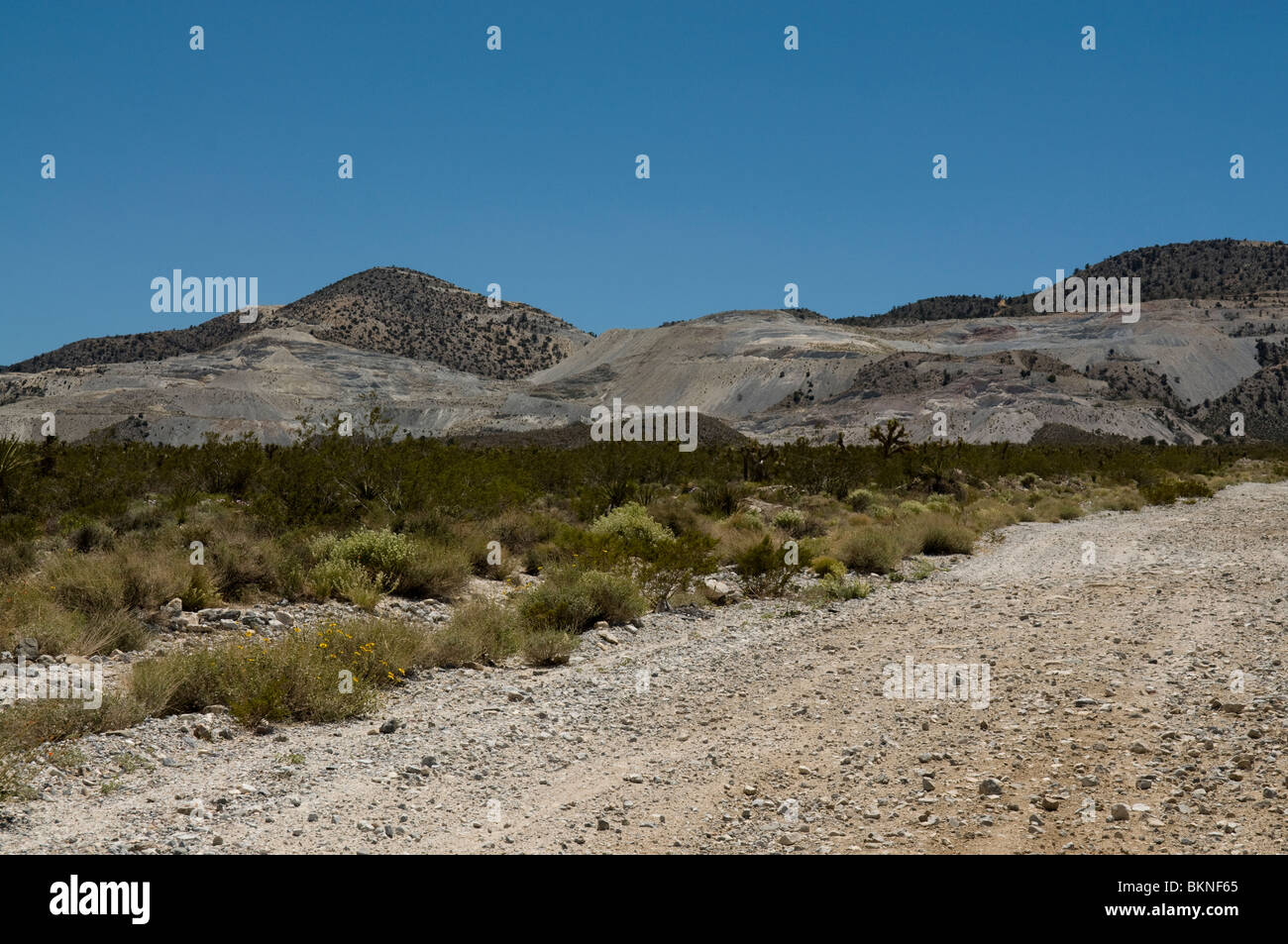 Hillside showing location of the Terrace Springs Mine on the East side ...