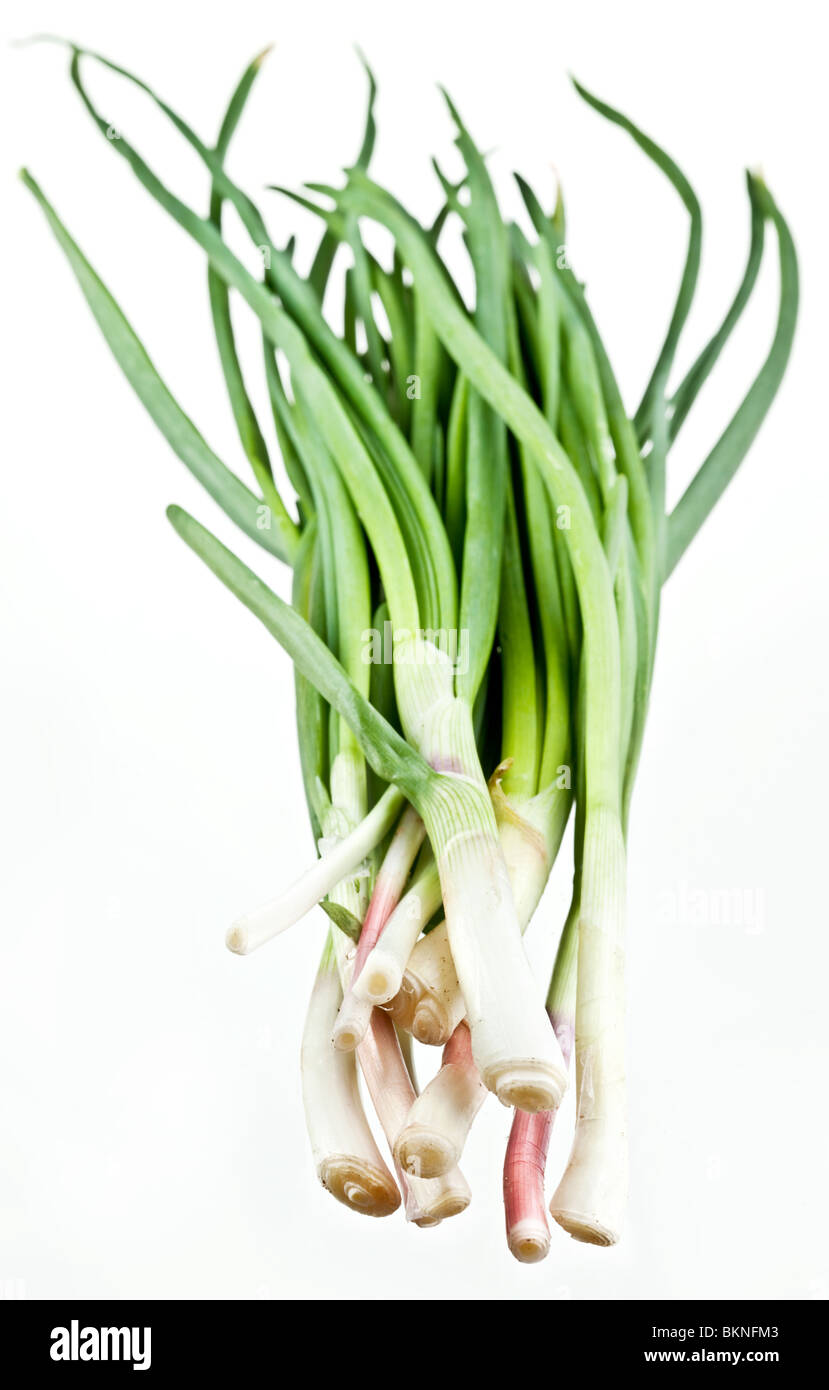 Onion bunch hi-res stock photography and images - Alamy