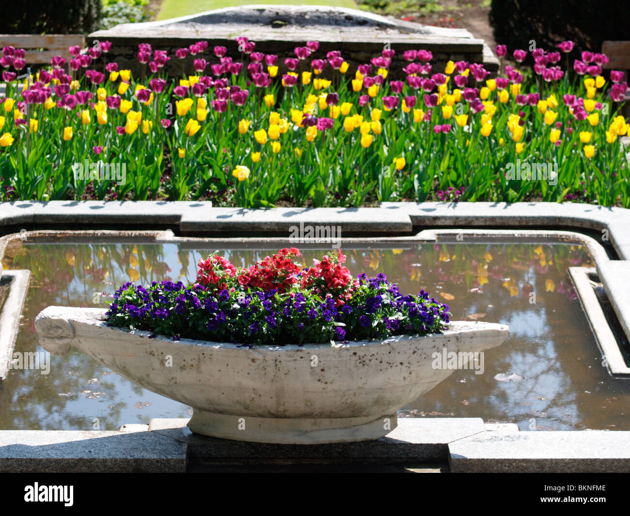gardens of Villa Taranto,lago maggiore, Verbania, Piemonte, Italy ...