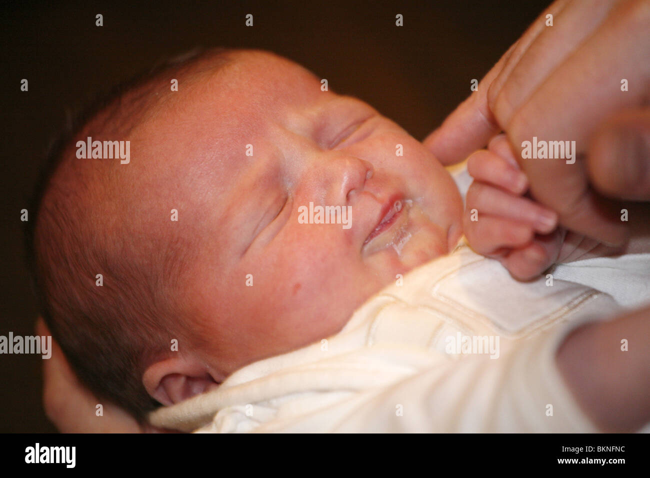 Two week old baby Stock Photo - Alamy