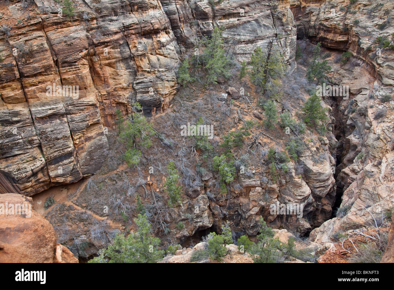 Slot canyon and zion national park hi-res stock photography and images ...