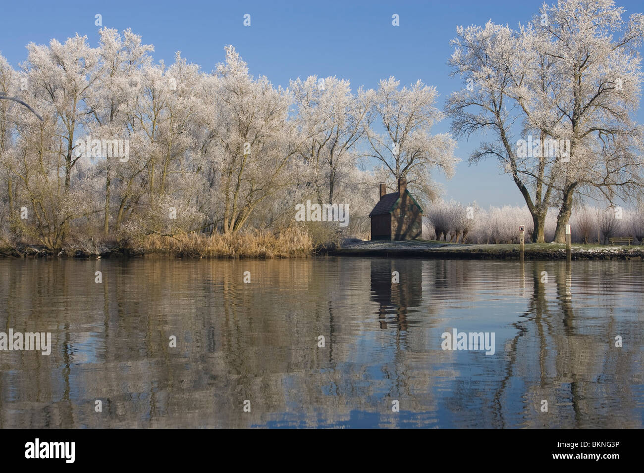 Biesbosch winter hi-res stock photography and images - Alamy