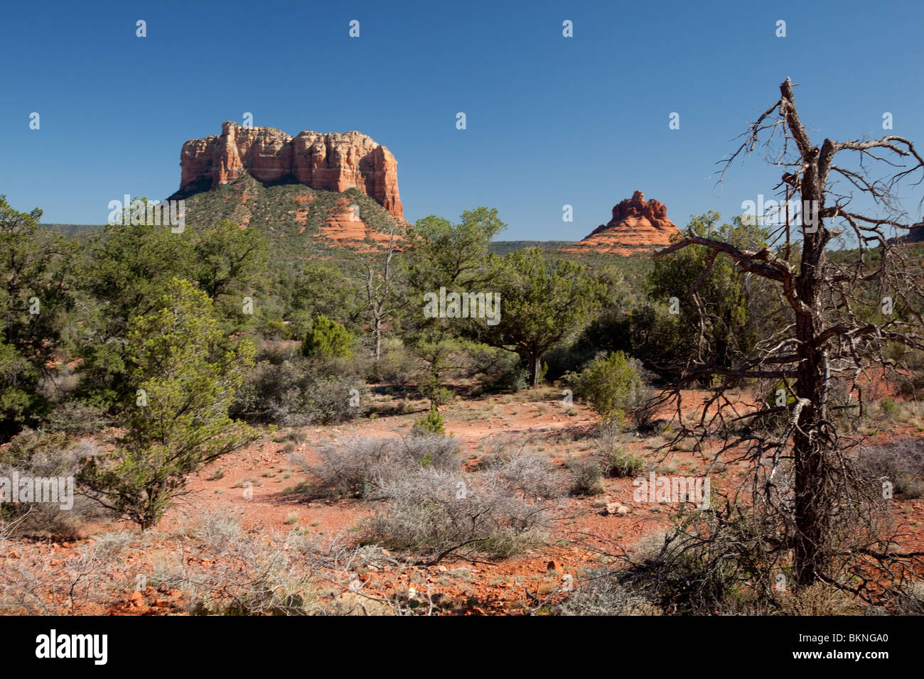 Courthouse Butte and Bell Rock, Sedona, Arizona Stock Photo - Alamy