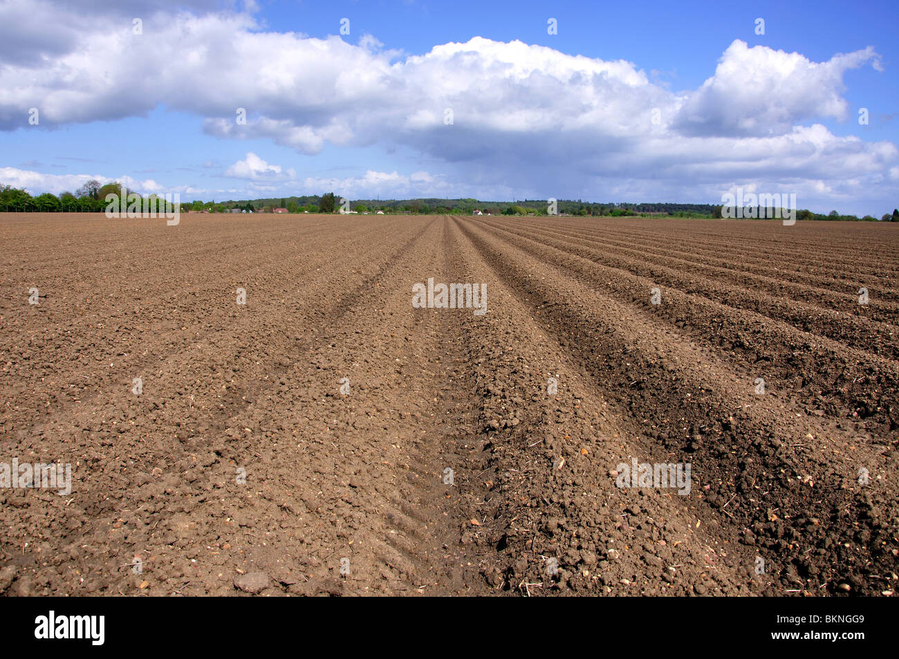 English country roads fields hi-res stock photography and images - Alamy