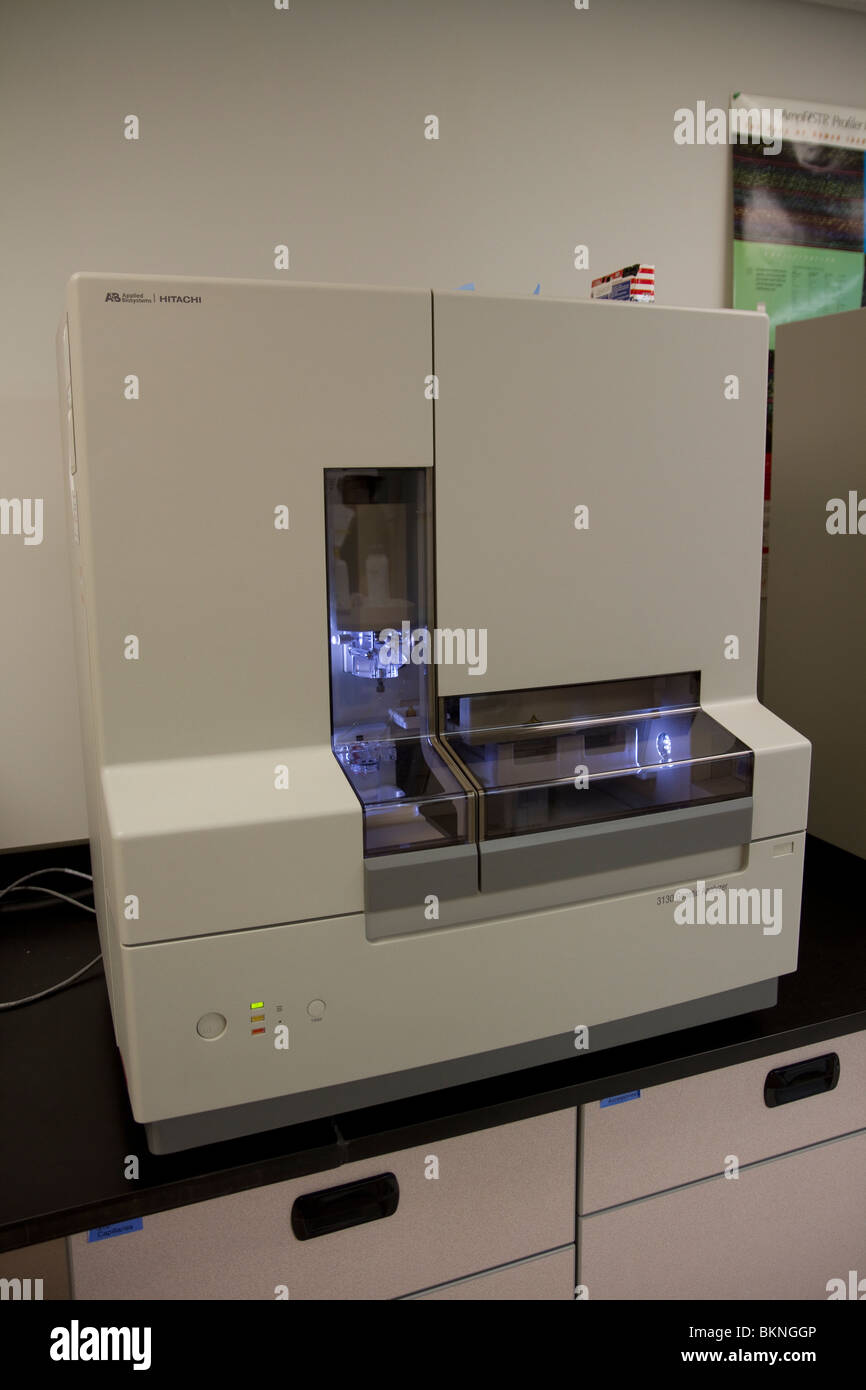 DNA robot permits testing of a multitude of samples in forensics ...