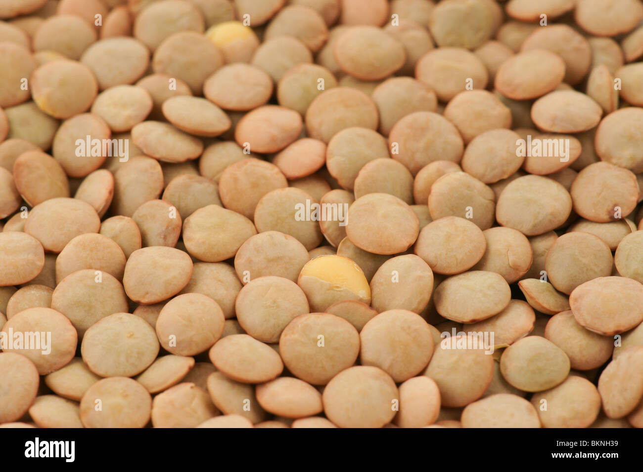 great background image of green lentils Stock Photo - Alamy