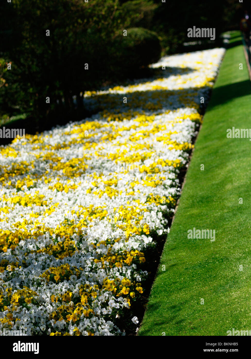 gardens of Villa Taranto,lago maggiore, Verbania, Piemonte, Italy ...