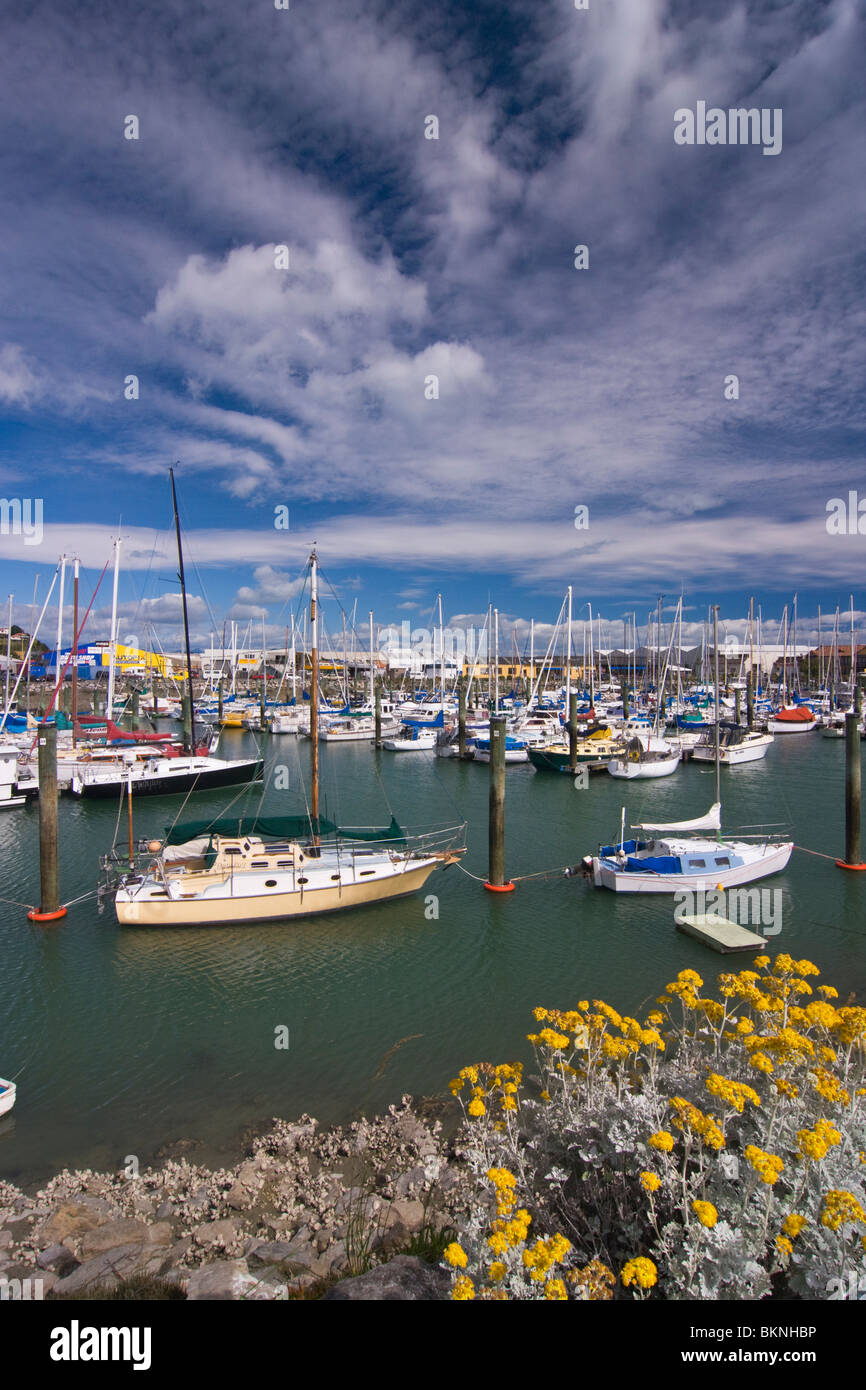 Yachts and motor launches moored in a marina, Nelson, New Zealand Stock ...