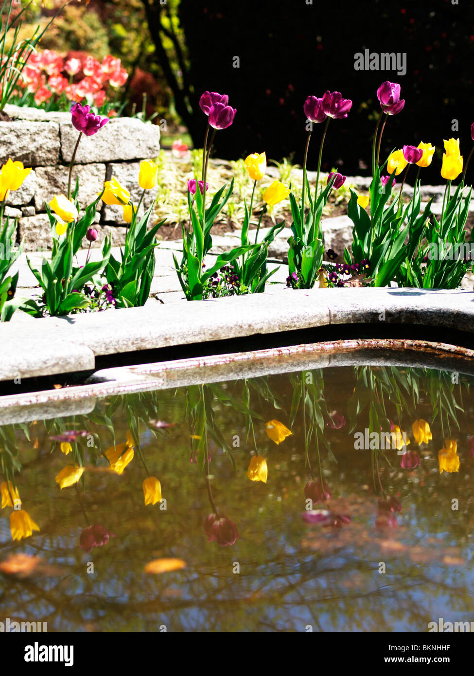 gardens of Villa Taranto,lago maggiore, Verbania, Piemonte, Italy ...