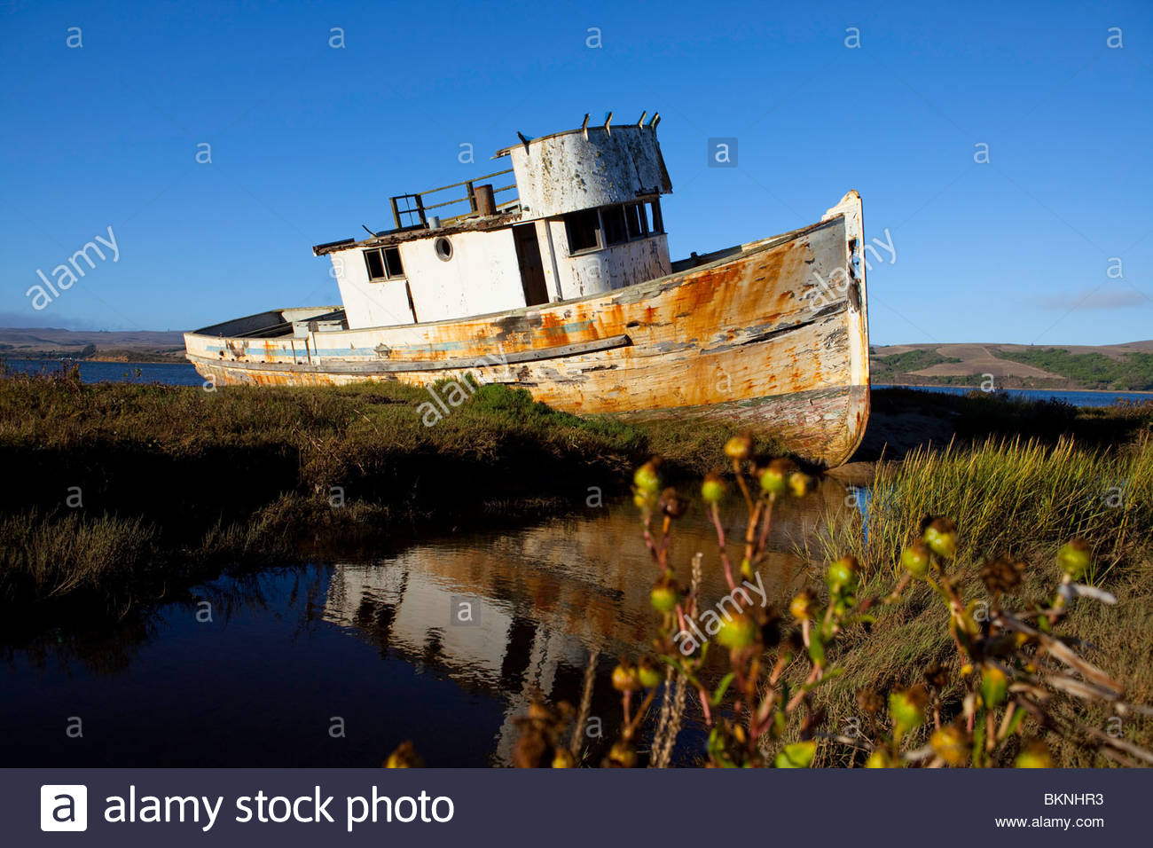 Grounded High Resolution Stock Photography and Images - Alamy