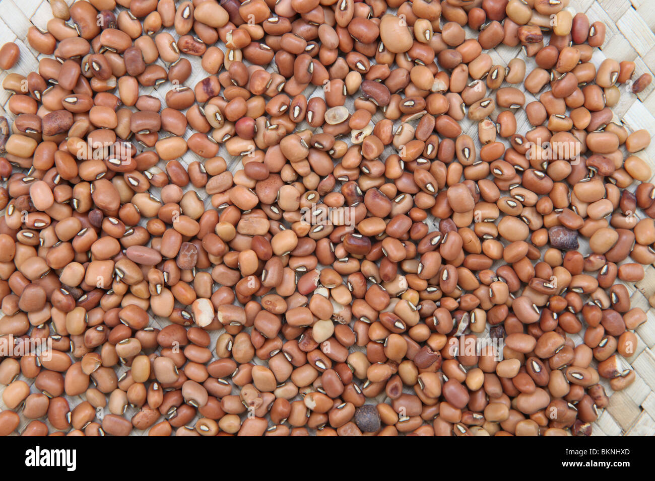 red moong beans,popular pulse used in indian cookery Stock Photo - Alamy