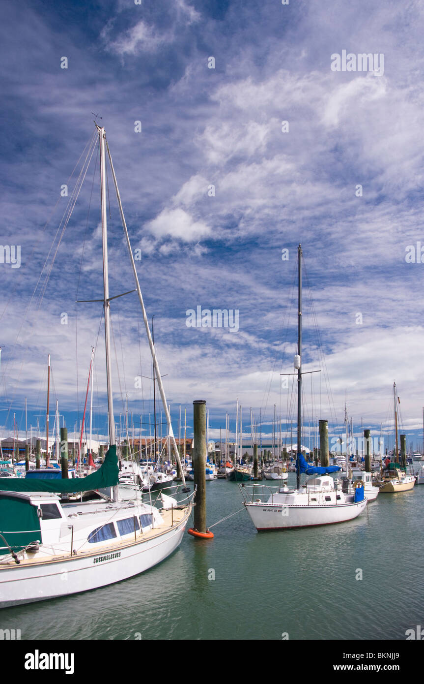 Yachts and motor launches moored in a marina, Nelson, New Zealand Stock ...