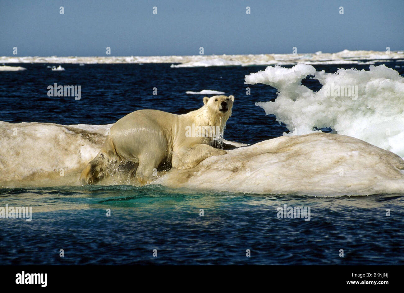 Arti hi-res stock photography and images - Alamy