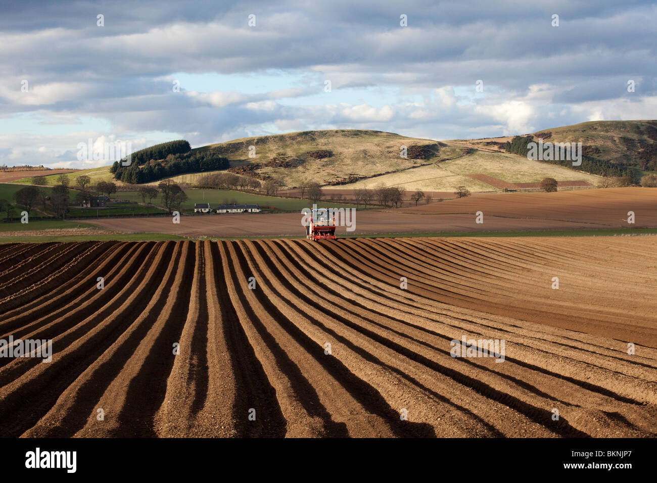 Furrow irrigation & cultivation methods used in Potato Farming; Grimme ...