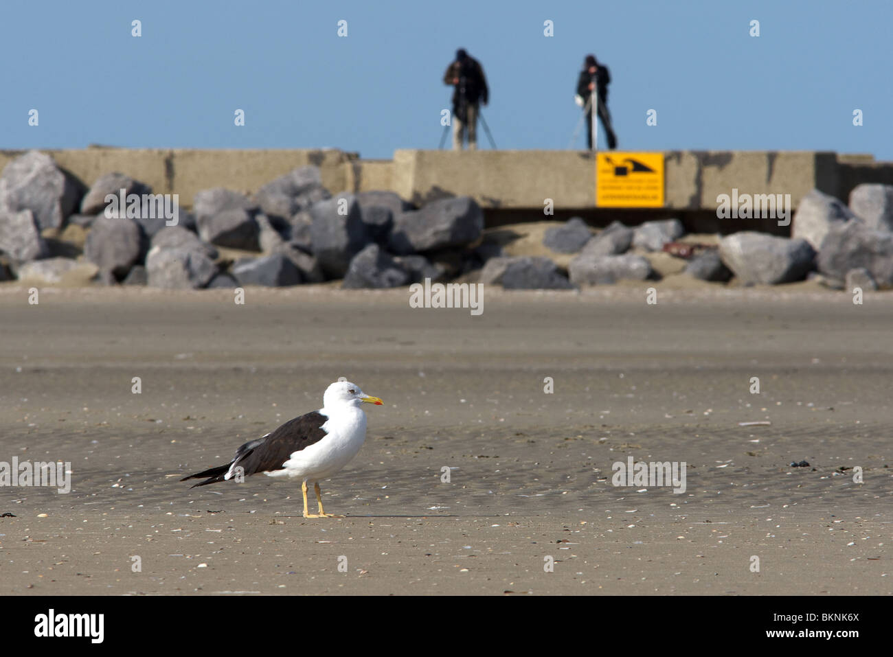 Ijmuiden strand hi-res stock photography and images - Alamy