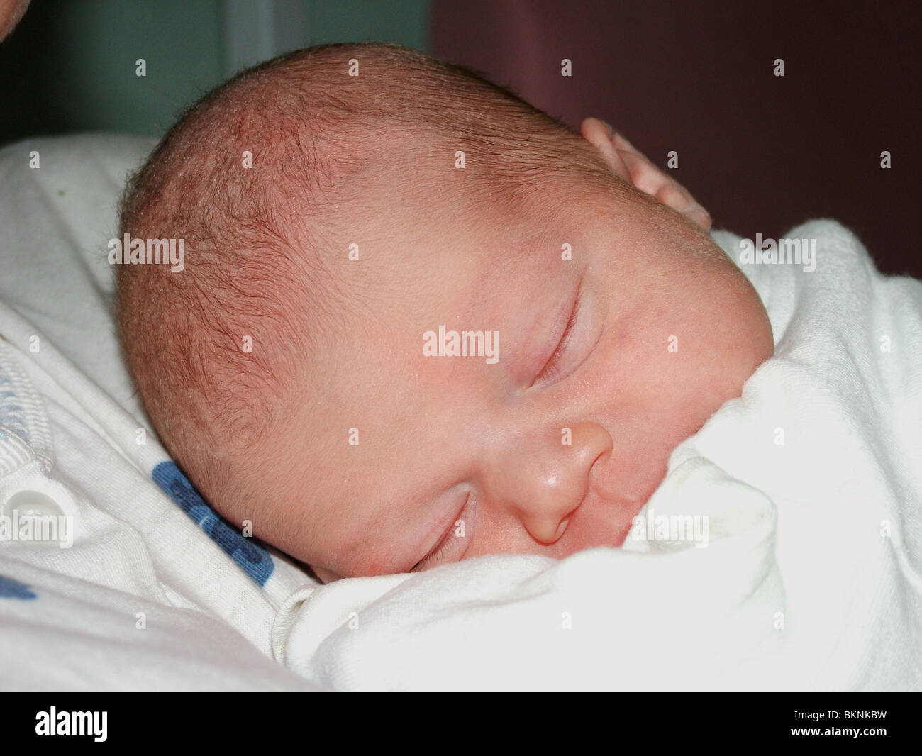 New born baby asleep on mother, Maternity Unit, Withybush Hospital ...
