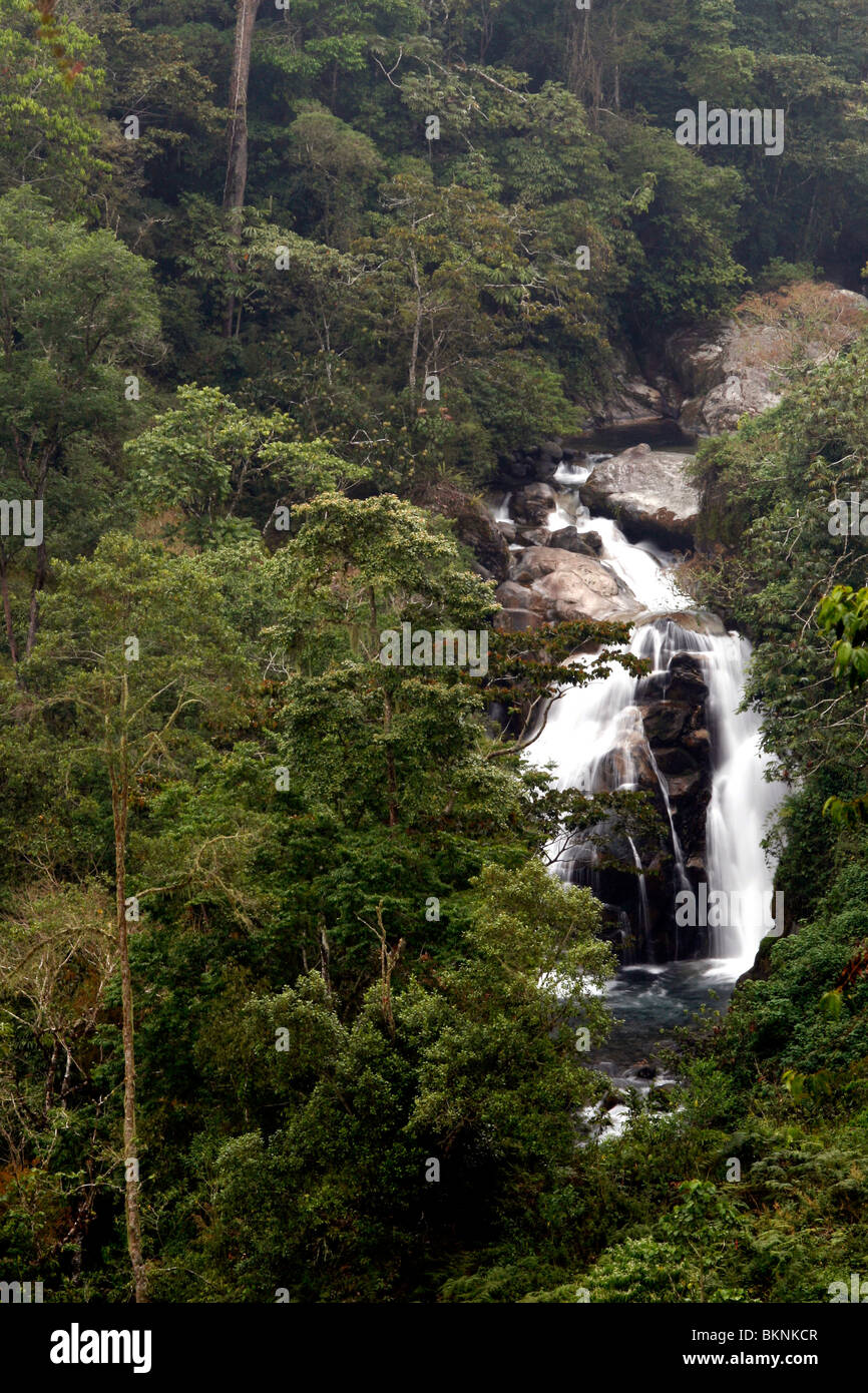 Waterval in cloudbridge reserve hi-res stock photography and images - Alamy