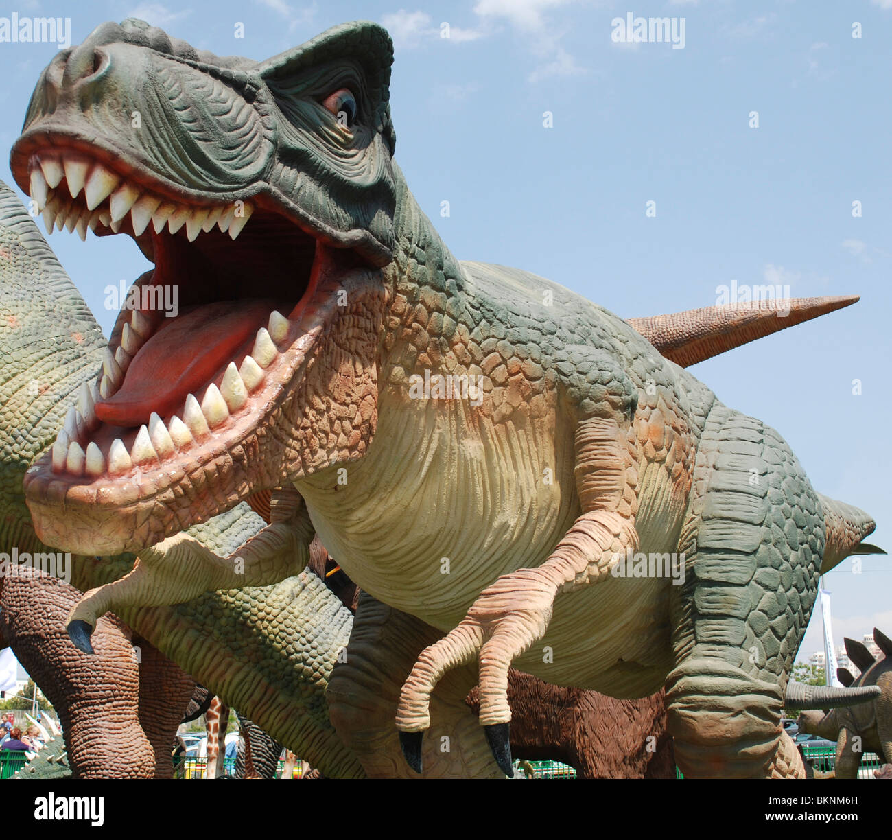 T rex dinosaur hi-res stock photography and images - Alamy