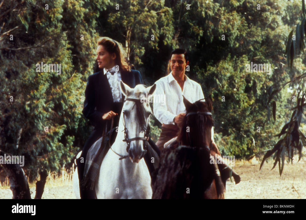 BLOOD & SAND (1989) BLOOD AND SAND (ALT) CHRISTOPHER RYDELL, SHARON ...