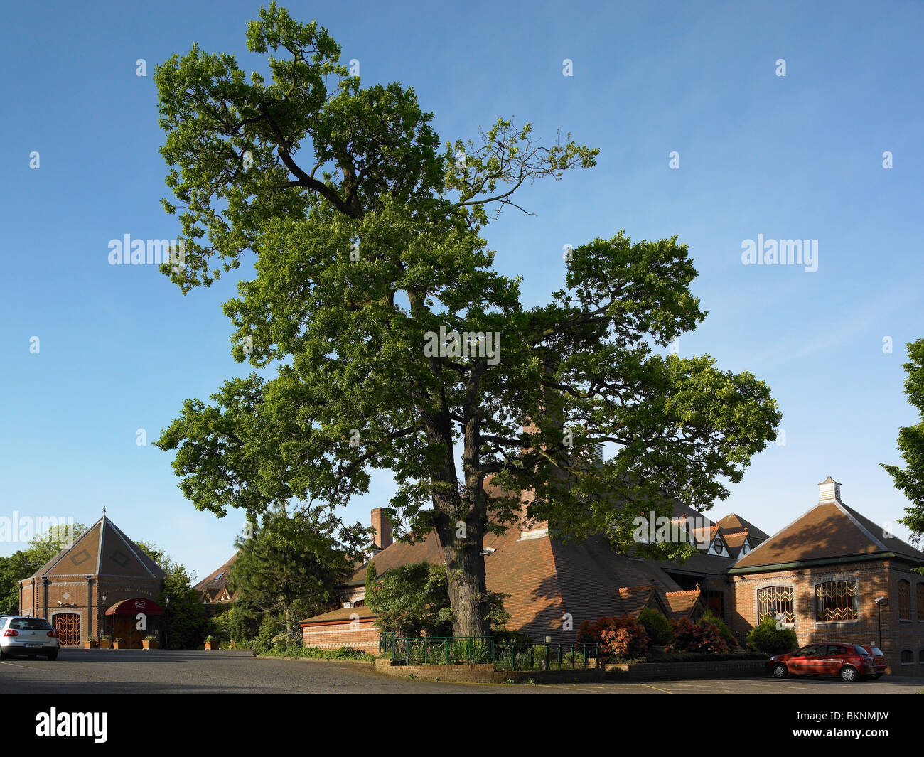 Templepatrick hi-res stock photography and images - Alamy