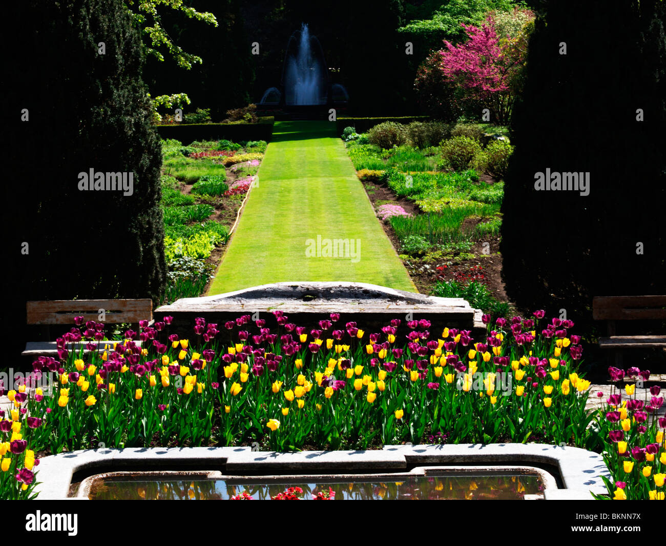 gardens of Villa Taranto,lago maggiore, Verbania, Piemonte, Italy ...